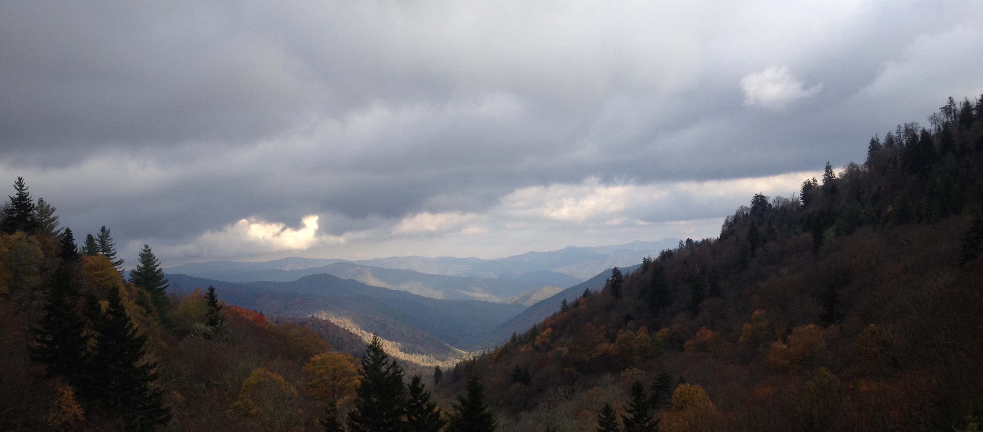 About Tony – Tony Piazza